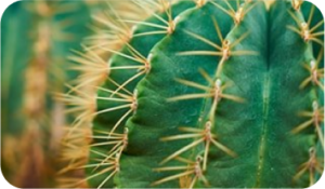 Offspring Health Paediatric Medical Specialists in Melbourne